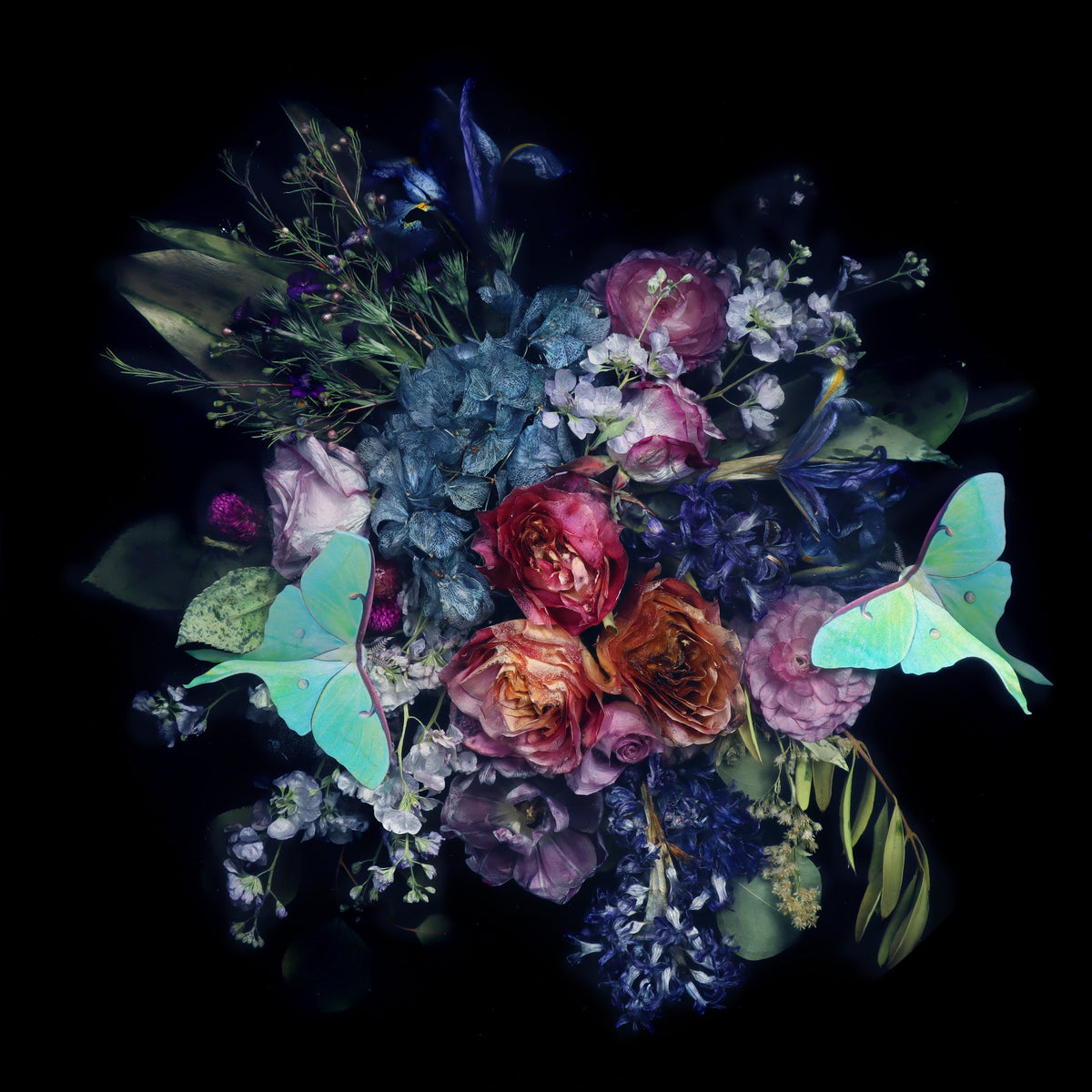 “Midnight Eternal" Original Art Print – TK Fareed Hand Crafted Designs